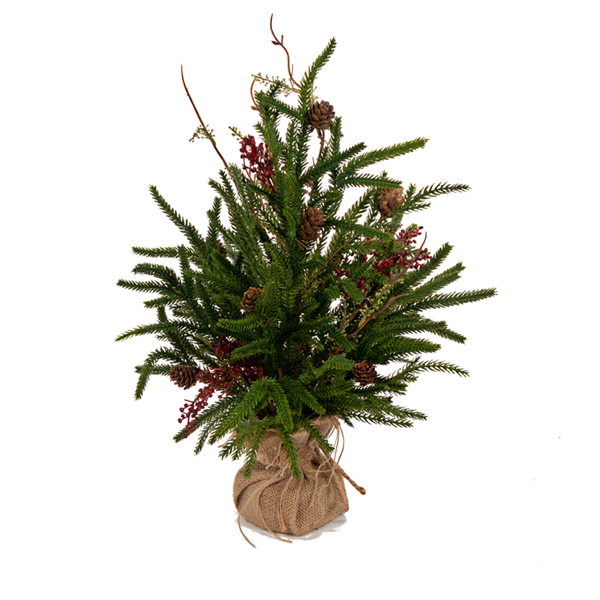 Mixed Austrian Pine Tree – IntuitionMurray
